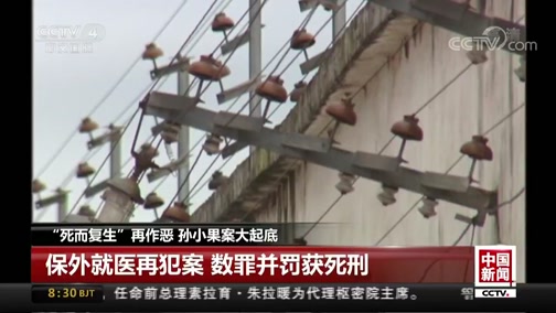 [中国新闻]“死而复生”再作恶 孙小果案大起底
