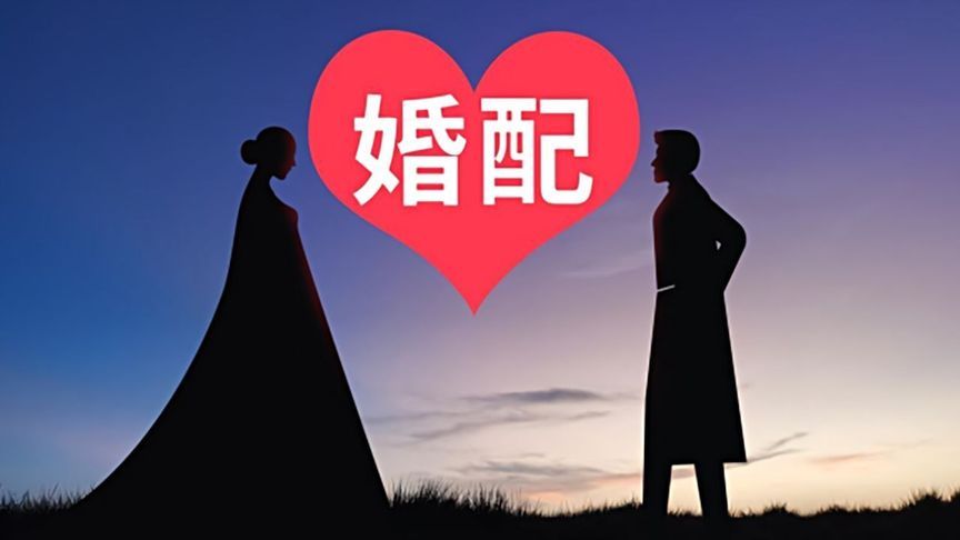 江西一地推出婚改app!设未婚男女数据库,搭建官方相亲平台