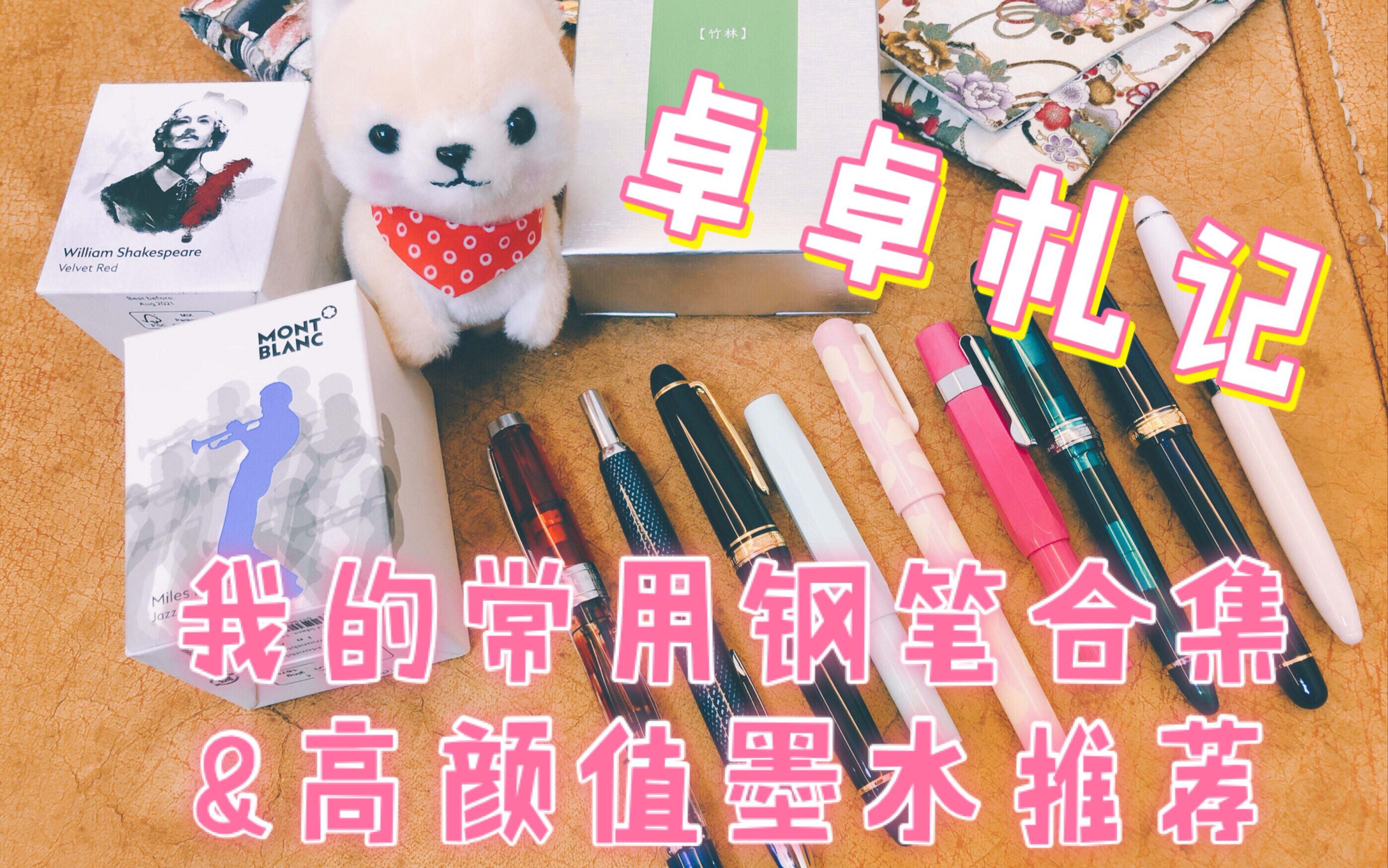 【卓卓札记】我的常用钢笔合集 | 高颜值墨水推荐 | 彩墨 | 写乐 百乐 ...