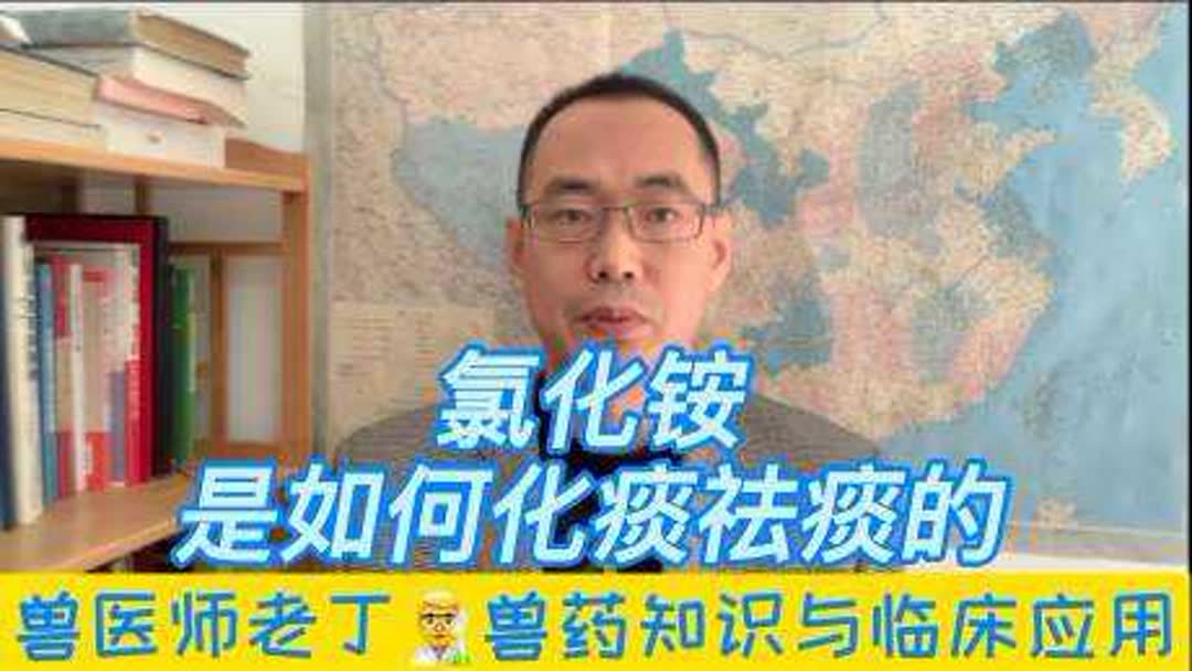 动物呼吸道疾病痰多难以咳出,配合氯化铵有作用