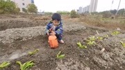 玩游戏提升孩子综合能力,训练孩子手眼协调精细动作的感统游戏