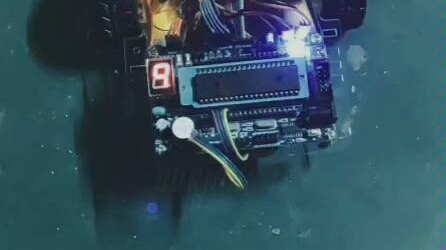 STC89C52RC芯片,两个直流电机,一个电机驱动模块