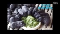 物超所值的产品 家用中草药粉碎机,超微粉碎机,万能粉碎机,
