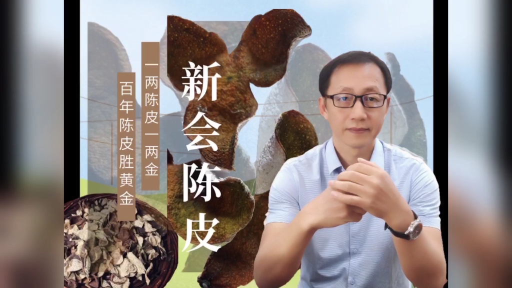 新会陈皮独特性怎么样?它与外地陈皮的差距有哪些