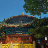 陈卫丽说家居 
