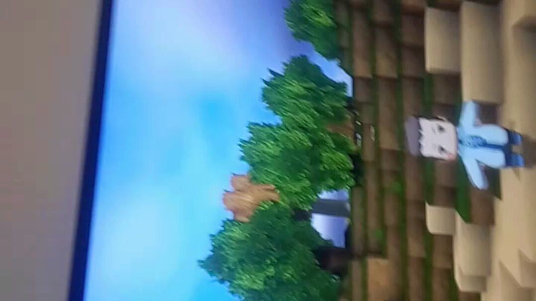 木鱼和小铃铛的100倍掉落生存记