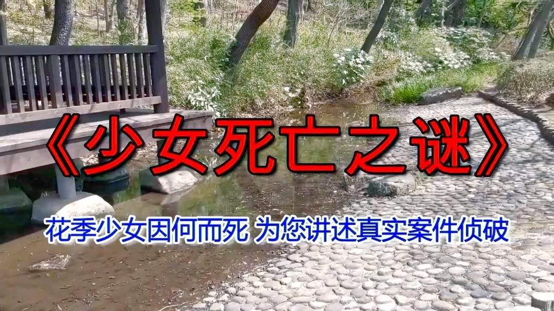 《少女死亡之迷》为您讲述 真实刑事案件纪实 大案要案纪实