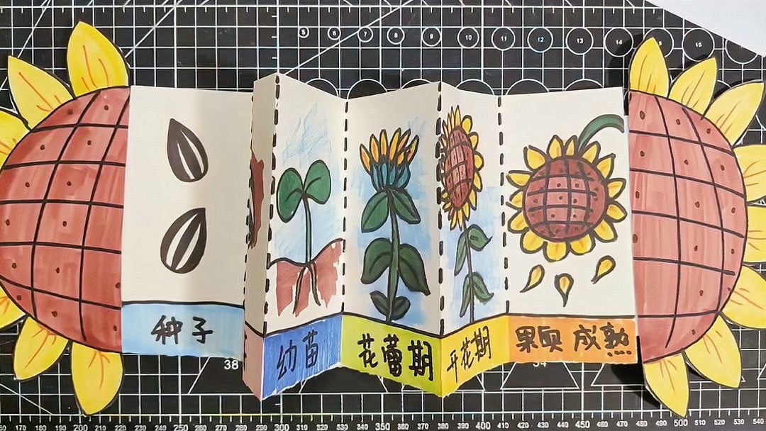 创意美术-我的自然笔记