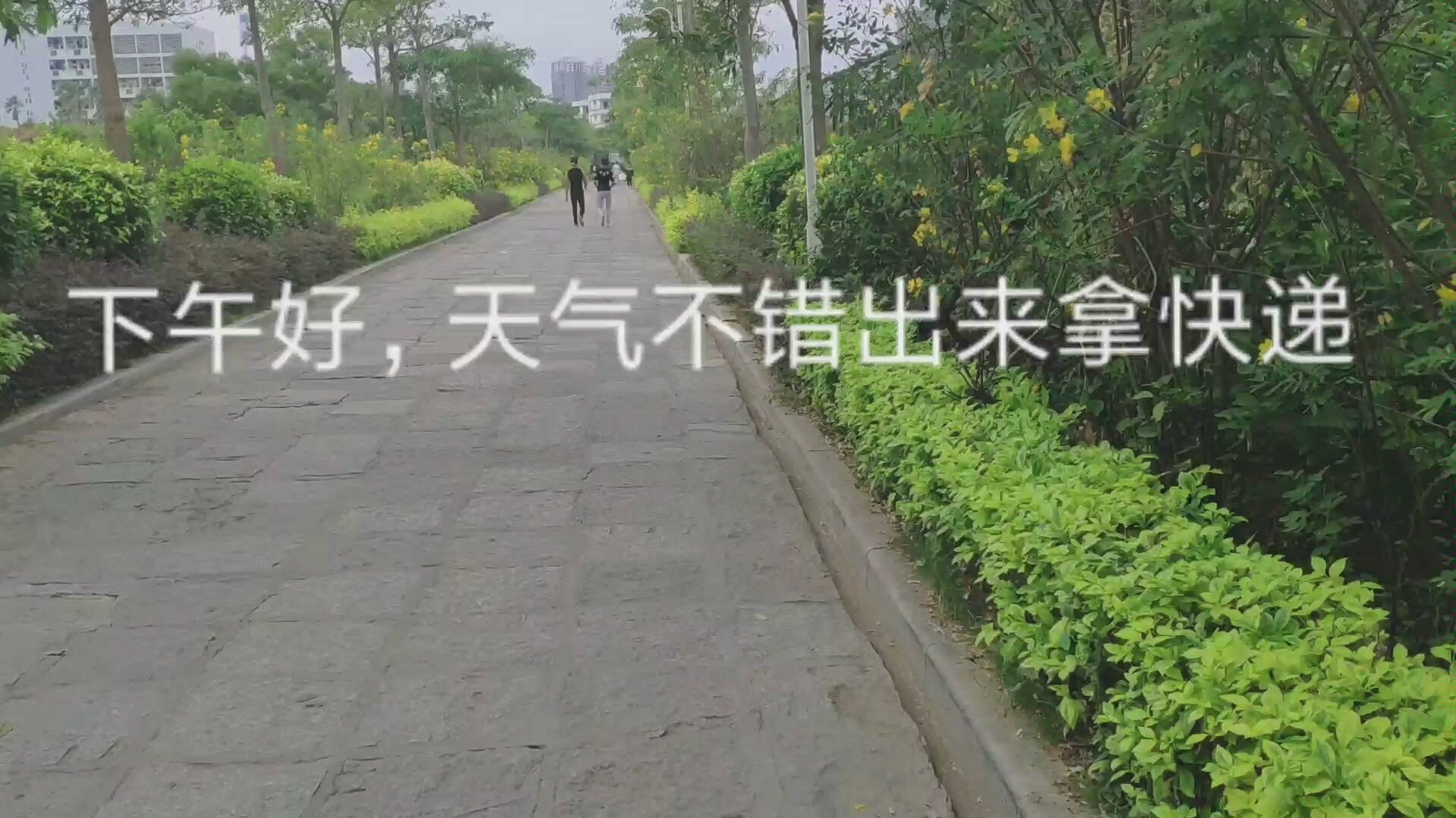 职高新生放假的的日常