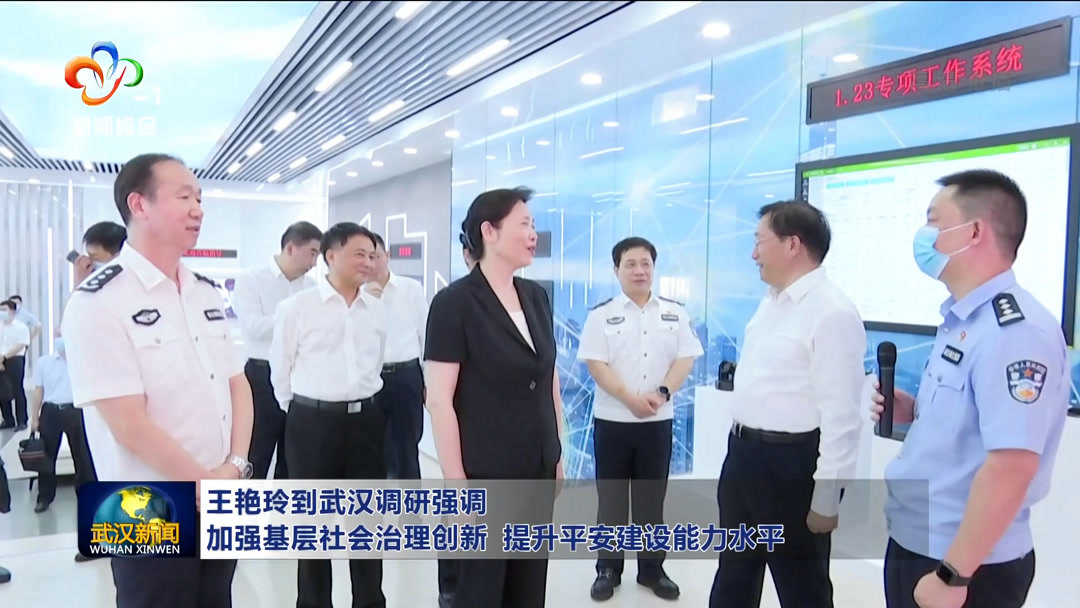 加强基层社会治理创新 提升平安建设能力水平