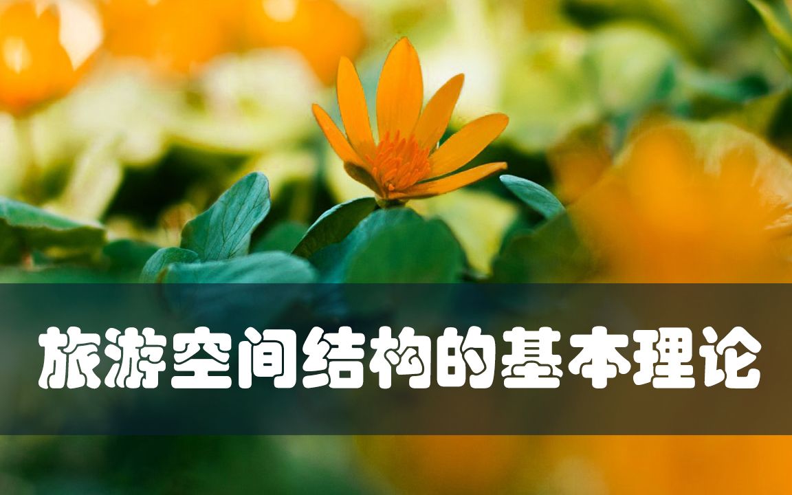 旅游空间结构的基本理论
