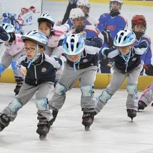 北京英迪威陆地冰壶 