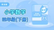 分数与小数的互化-课时5