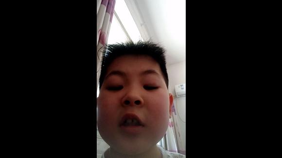 如大战僵尸无敌版。电脑。第二集。