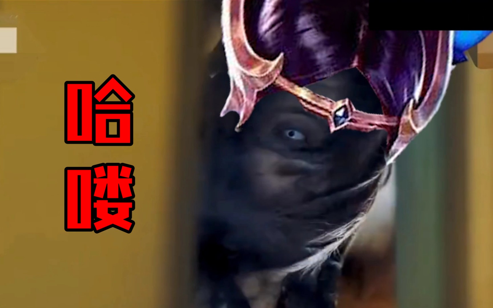 莎士比亚花园的仲夏夜仙女跟您say hi