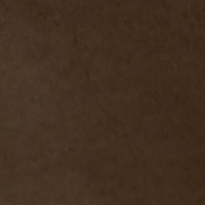 明天生活点滴事 