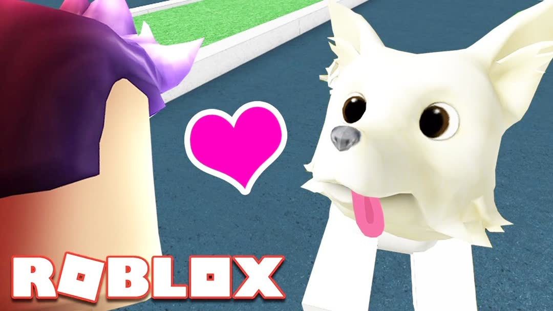 Roblox领养模拟器!小猫小狗竟是从蛋里孵化出来的?面面解说