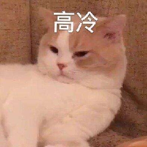 JyoKaha 
