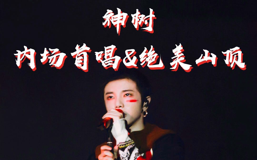 【华晨宇】【神树】演唱会震撼内场+绝美山顶合集