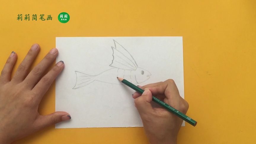 简笔画的绘画方法,飞鱼的绘画步骤,简单易学的简笔画