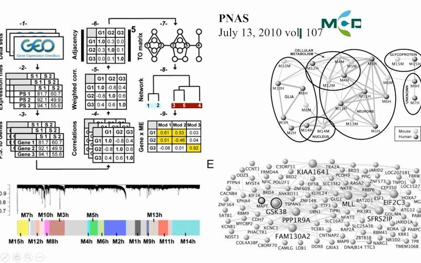 医学研究的数据管理与分析