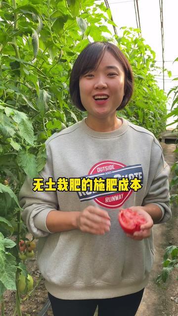 无土栽培的施肥成本核算起来比土壤种植都低,并且不需要连年的翻地...