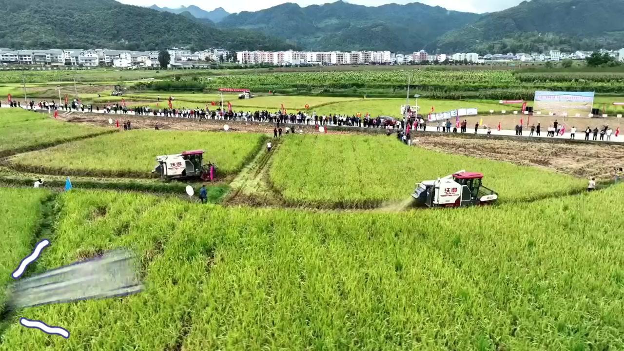 ...(水稻)机收减损大宣传大培训大比武活动,在绥阳县旺草镇广怀村火热...