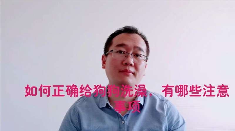 最近宠物店不开门,在家里如何给狗狗洗澡