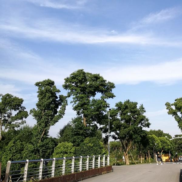 学好数理化走遍天都不怕 