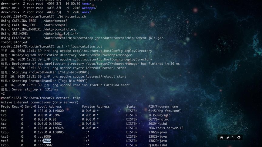 手把手教你linux下如何安装tomcat