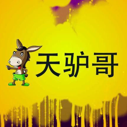 天驴哥 