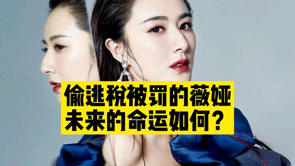偷逃税被罚13.41亿元,薇娅未来的命运如何? | 偏哨