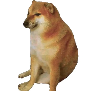 纳米表弟 