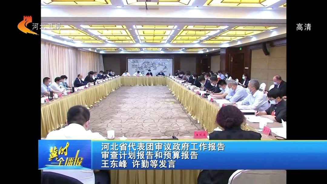 河北省代表团审议政府工作报告 审查计划报告和预算报告