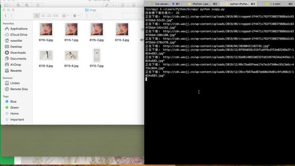 你还在到处找小姐姐当壁纸么 Python在手 说有就有程