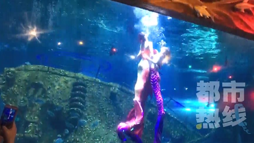 “卡通人物”来到海底世界 海洋馆奇幻过新年