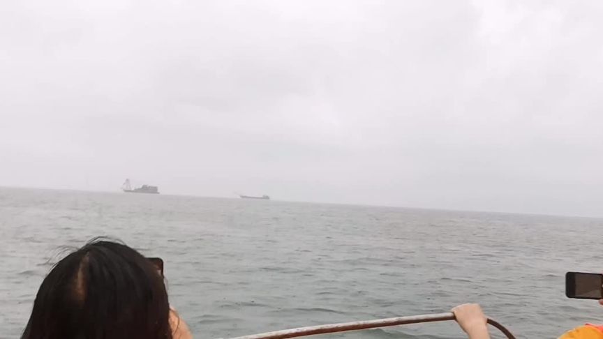 #大海,终于看见海豚了ߐ