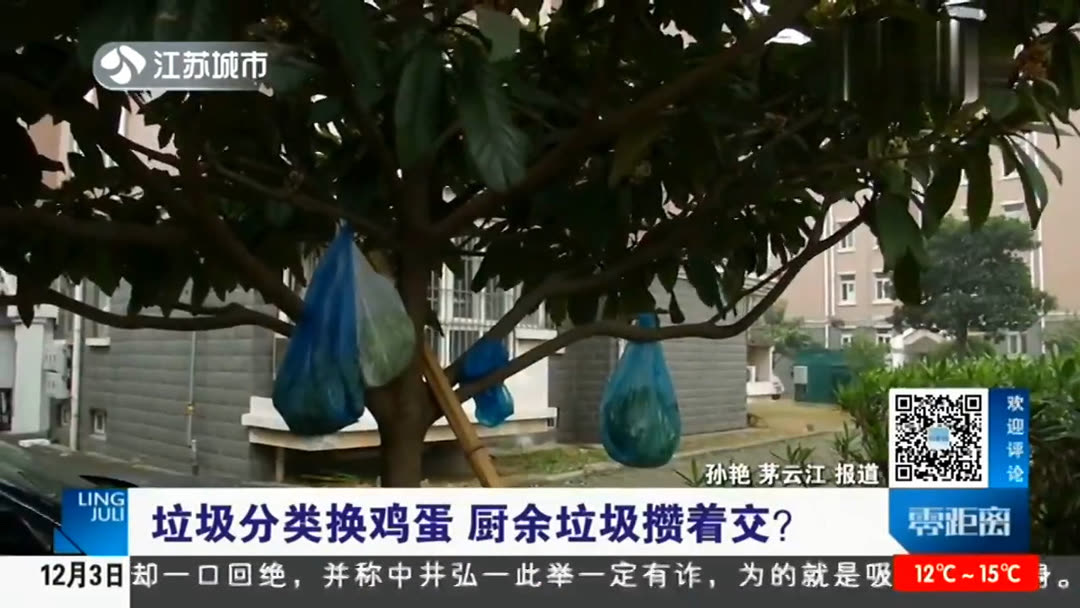 垃圾分类换鸡蛋 厨余垃圾攒着交?