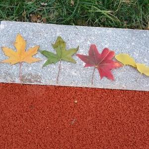 未来可期奥力给 