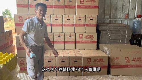 参观现代化蛋鸡养殖场,惊叹科技的力量,传统养殖能有出路吗