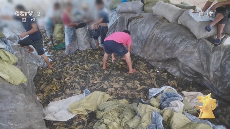 [2022年3·15晚会]“土坑”酸菜