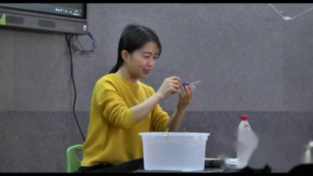 幼儿园公开课大班科学《水车的奥秘》