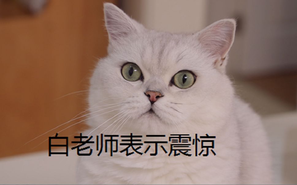 【好 兄 弟 系列】电脑病毒