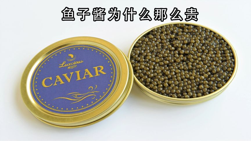 探访鱼子酱加工厂,揭秘鱼子酱昂贵的秘密,真的不是智商税吗?