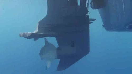 船的螺旋桨在水里转动是啥样的?装个摄像头,直观感受运行状态