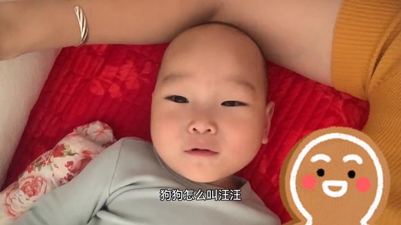 15个月宝宝会模仿各种小动物的叫声,还会自我介绍!真棒ߑ