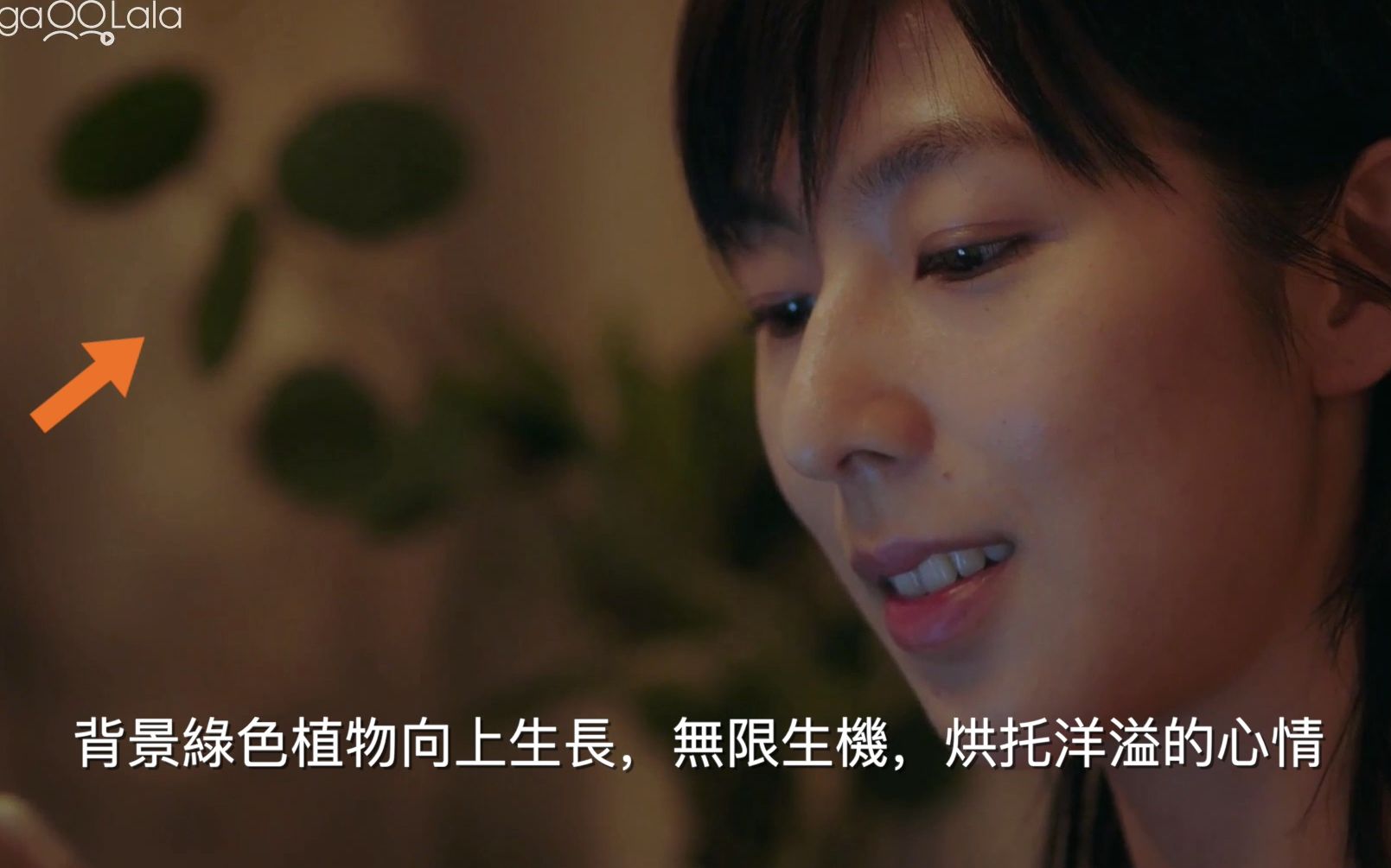 影视分析电影符号逐帧拉片|第一次遇见花香的那刻 P3.镜中像的隐喻—...