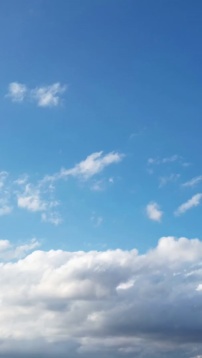 倪虹洁在外辛苦拍戏,丈夫却拿她银行卡透支1000万,逼倪虹洁离婚