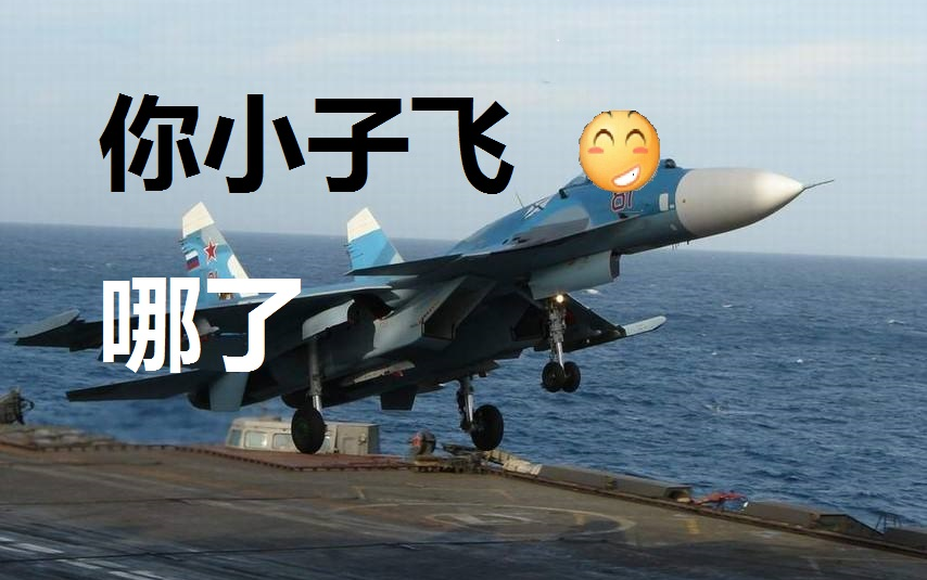 【DCS】当你开着毛子的舰载机,降落到美国的航空母舰上?
