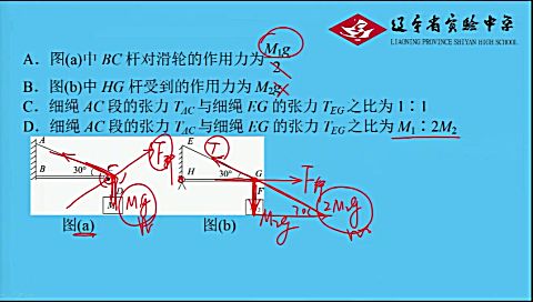 轻绳(杆)中的“死结”“活结”模型